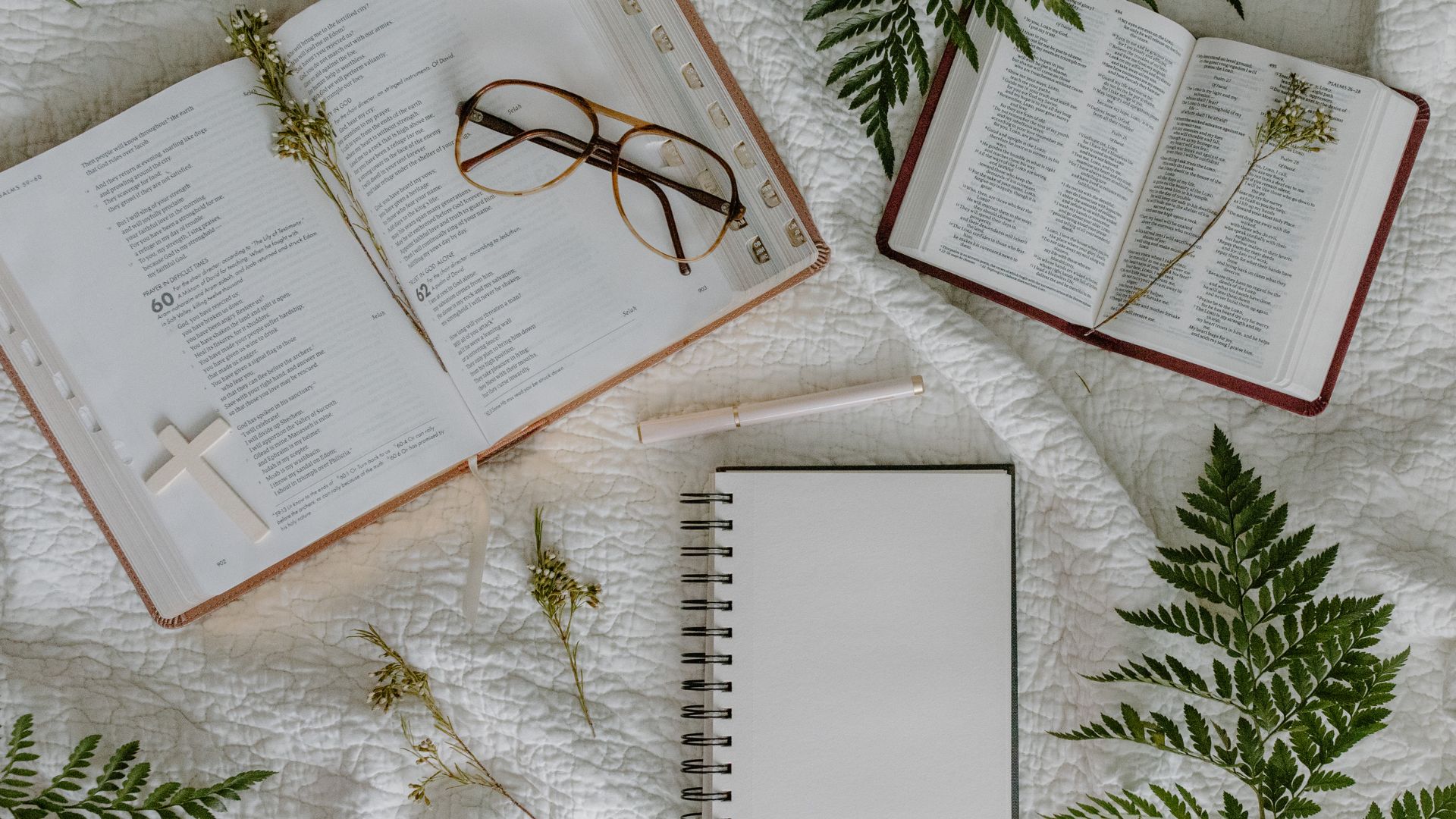 Answers to FAQs About Bible Study Fellowship (BSF) - AtoZMom's BSF Blog