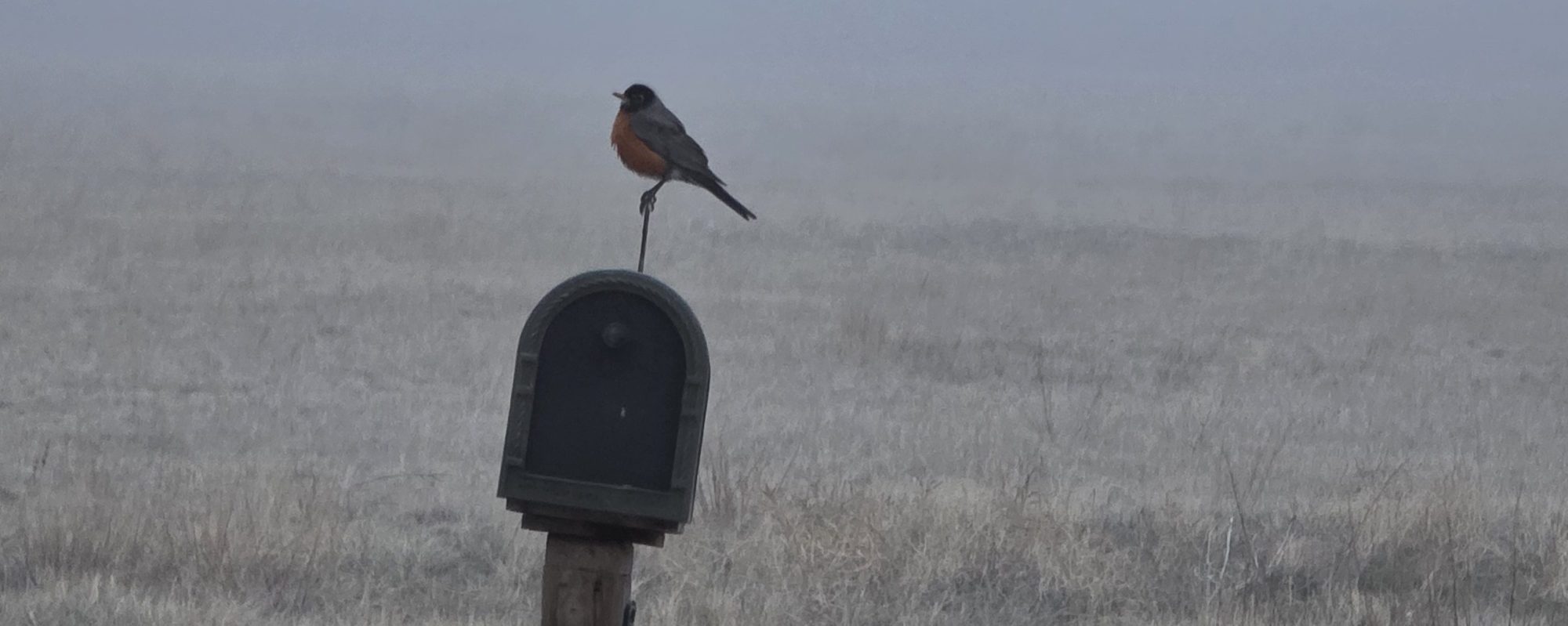 bsf study book for exile and return Archives - AtoZMom's BSF Blog