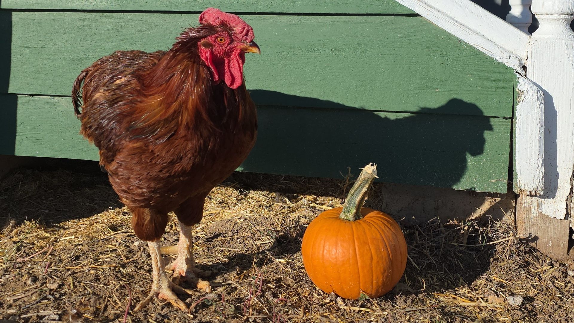 bsf exile and return lesson 3 Archives - AtoZMom's BSF Blog